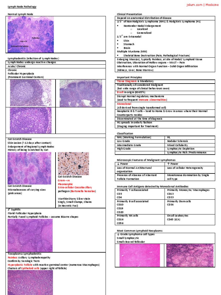 Lymph Node Pathology | PDF | Lymphoma | Lymphatic System