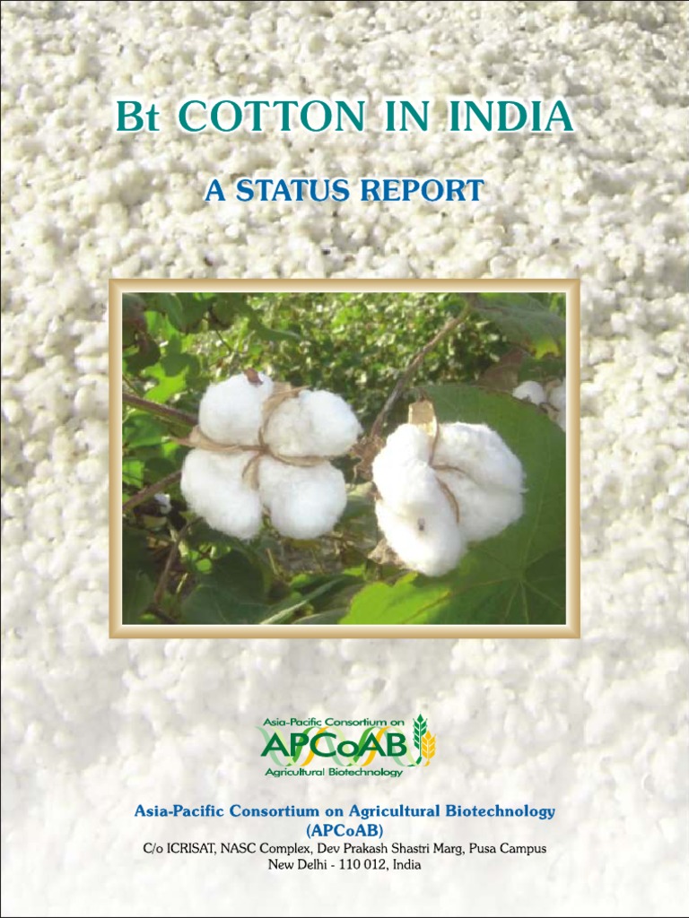 2007 Bt Cotton in India | Cotton | Genetically Modified Crops