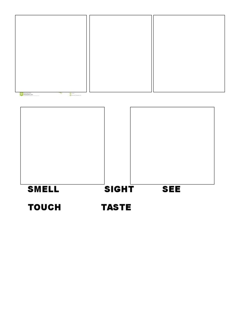 5 Senses | PDF