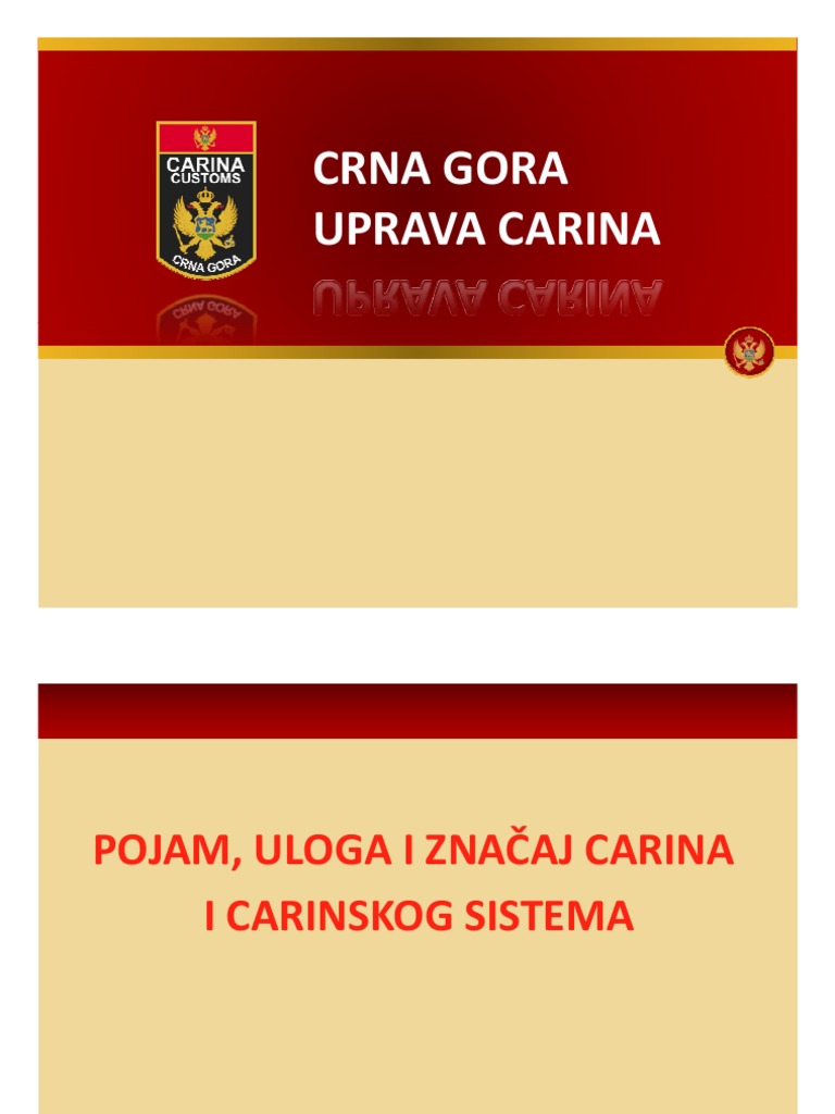 Carinski Sistem | PDF