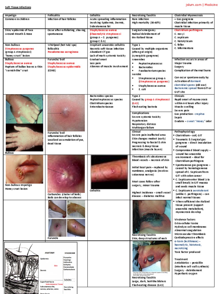 Soft Tissue Infections | PDF | Streptococcus | Diseases And Disorders