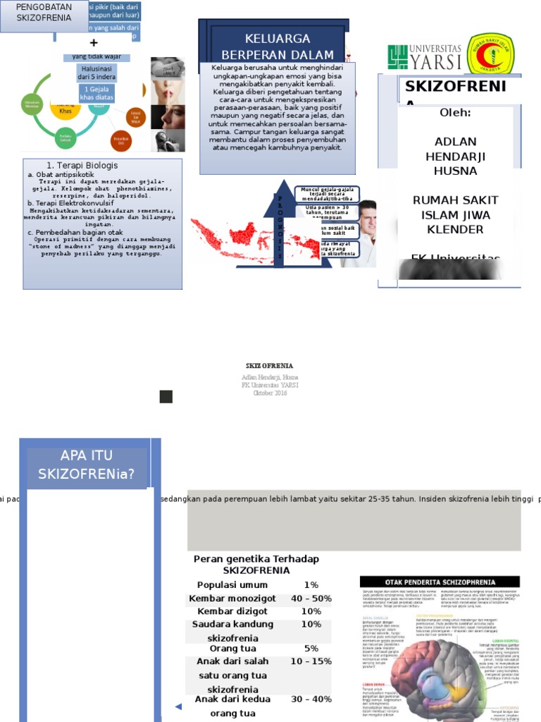 Leaflet Skizofrenia