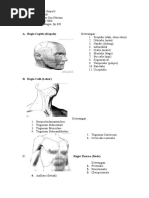 Istilah Istilah Regio Tubuh Manusia | PDF | Kajian Bahasa Asing | Sains ...