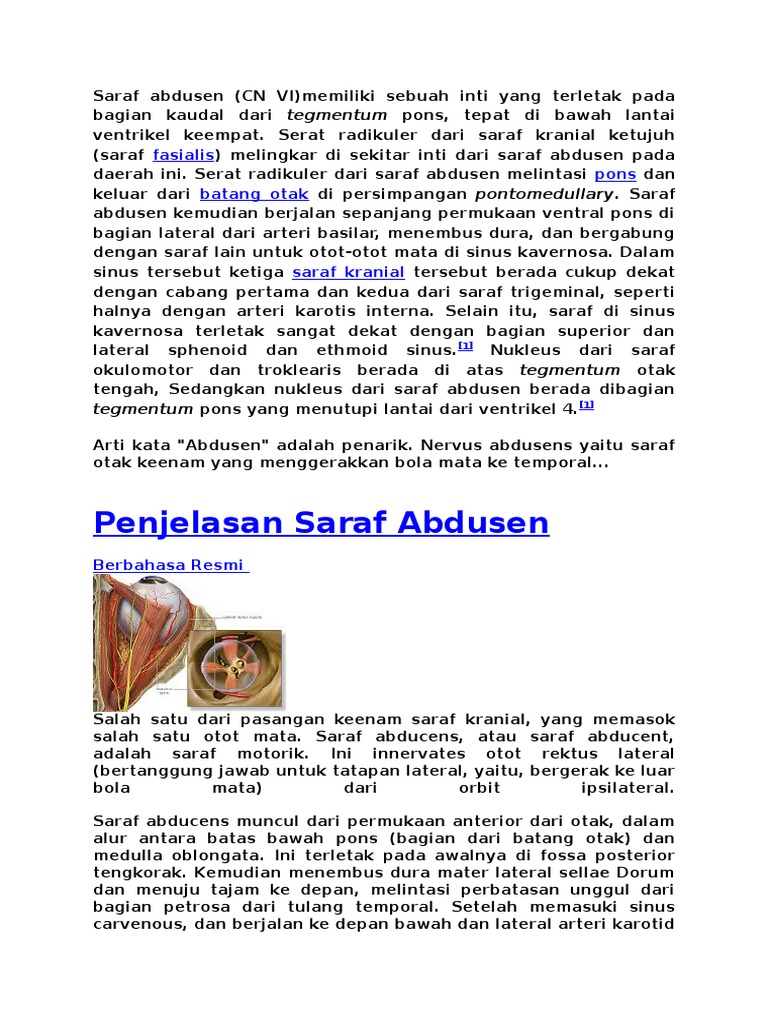Fungsi dan Anatomi Saraf Abdusen | PDF