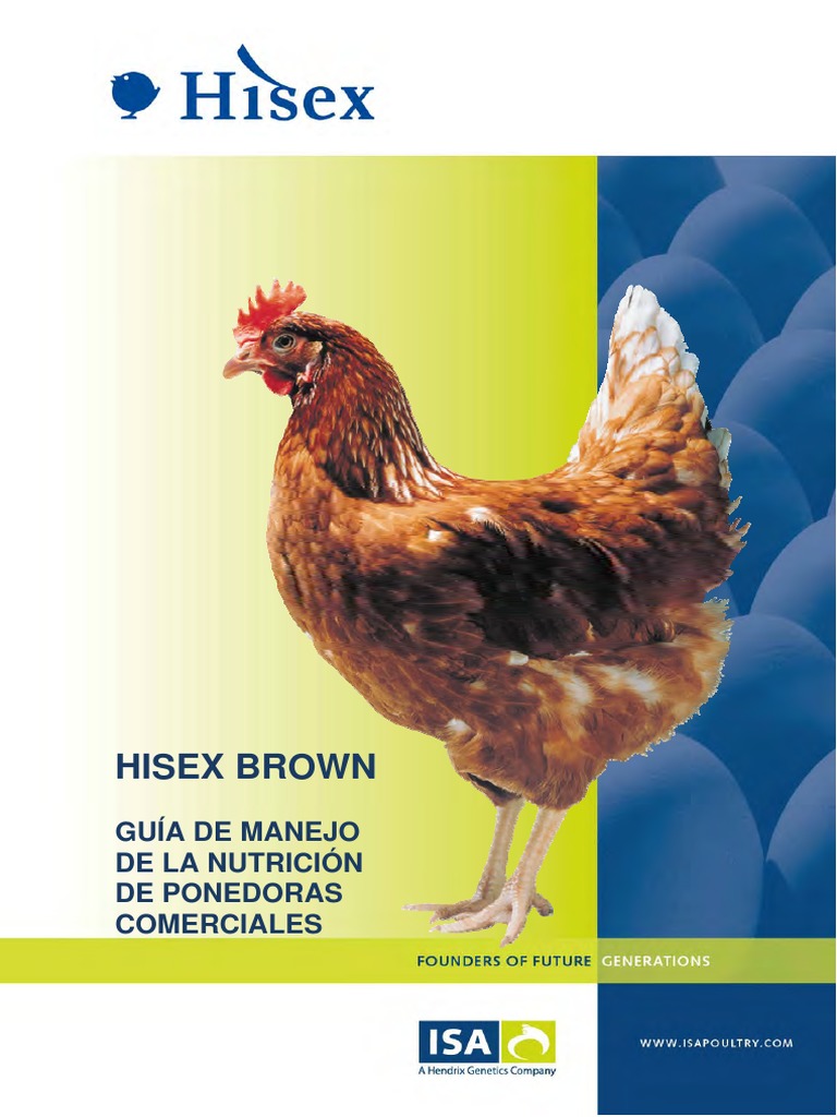Guia de Manejo de La Nutricion Hisex Brown | PDF | Huevo como alimento ...
