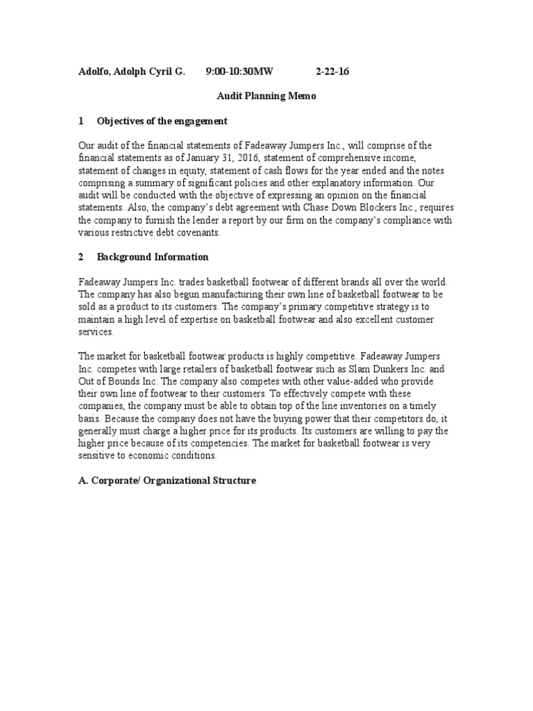 Audit Planning Memo | Audit | Risk