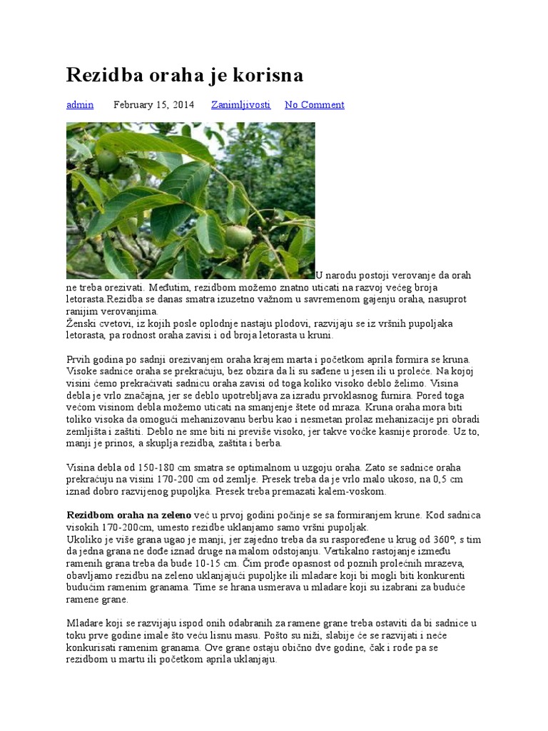 Rezidba Oraha Je Korisna | PDF