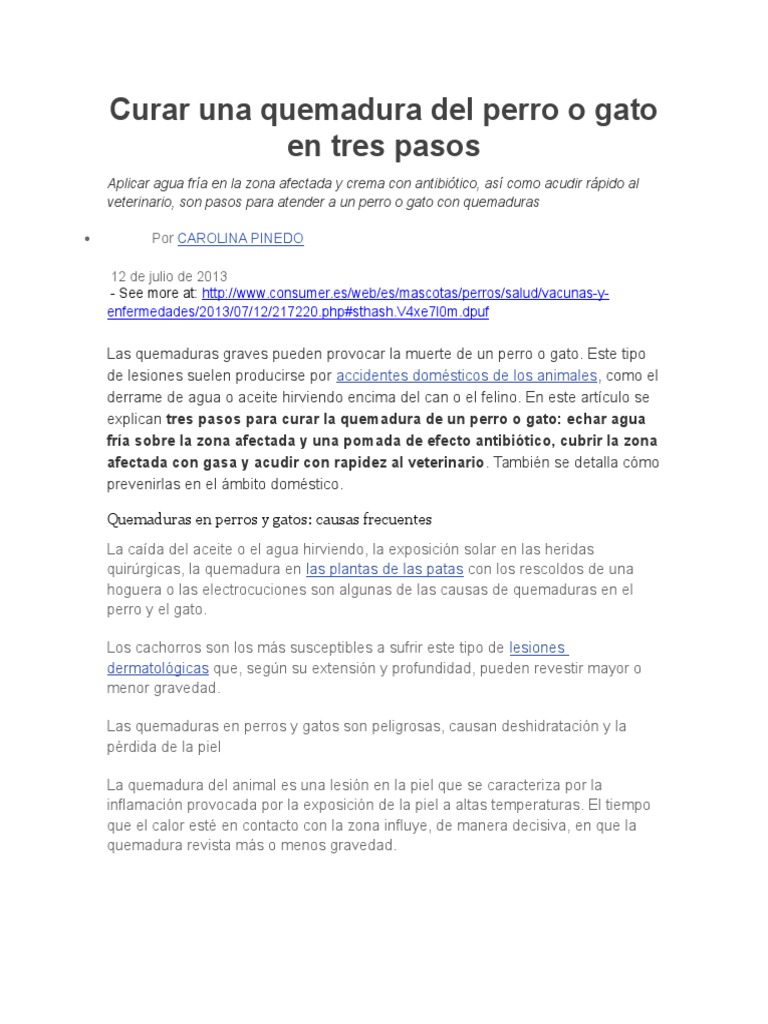 Curar Una Quemadura Del Perro o Gato en Tres Pasos | PDF | Quemar | Gatos