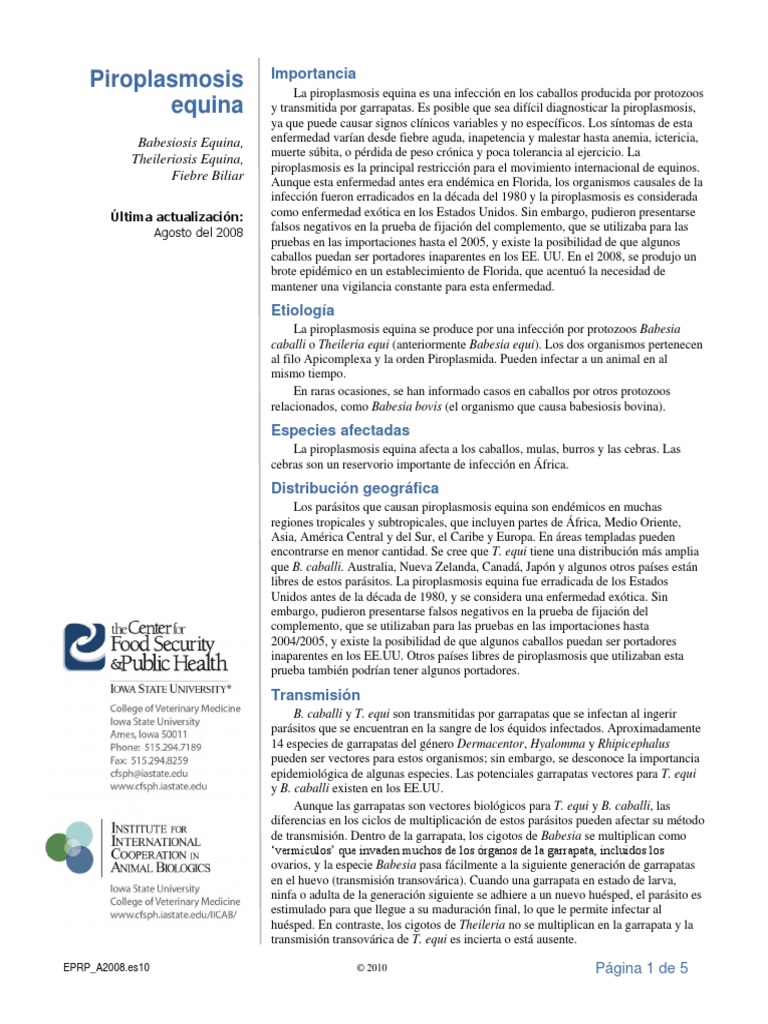 Piroplasmosis Equina PDF | PDF | Infección | Reacción en cadena de la ...