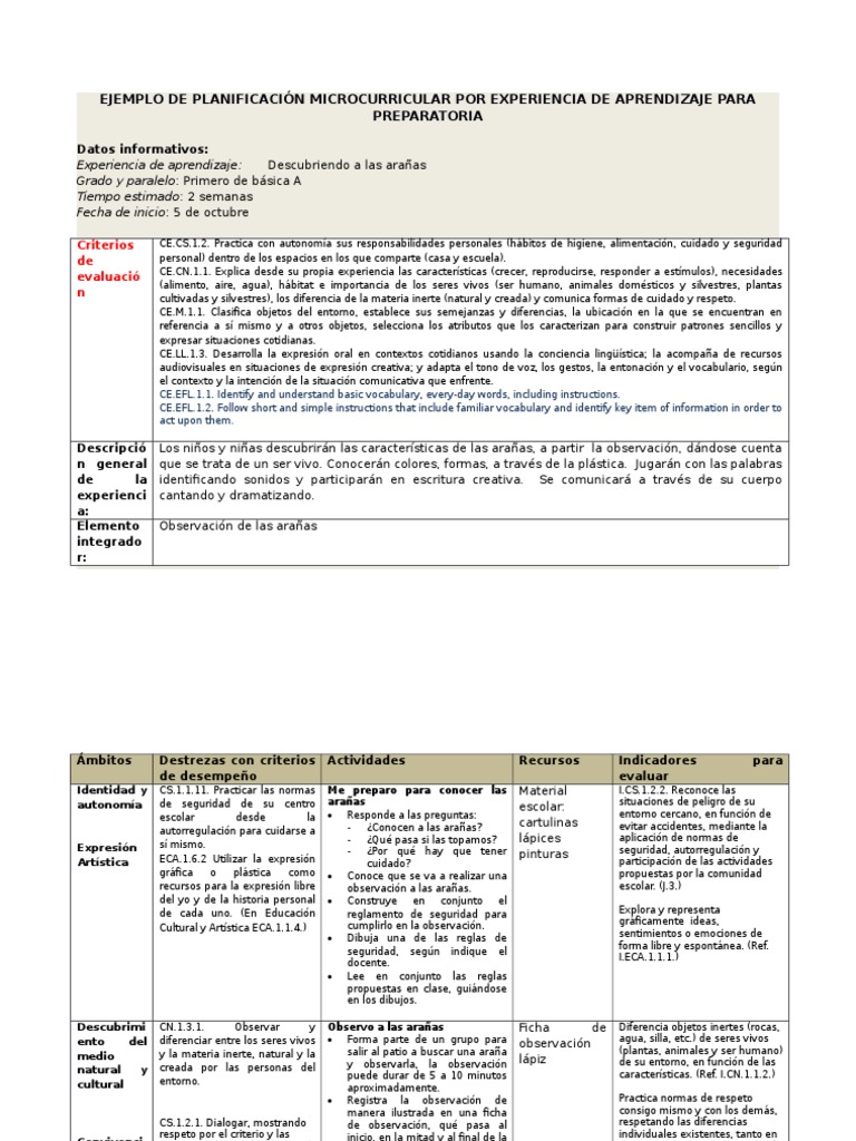 Ejemplo de Planificación Por Experiencias de Aprendizaje Preparatoria | Dibujo | Aprendizaje