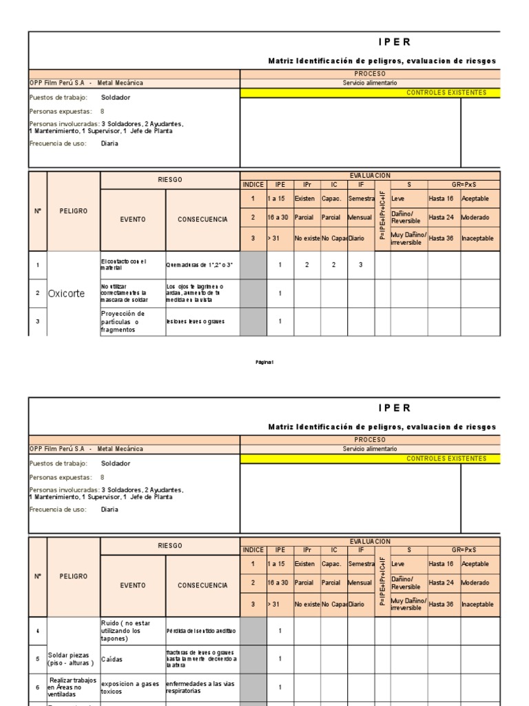 Modelo Matriz IPER 2016 | PDF | Riesgo | Quemar