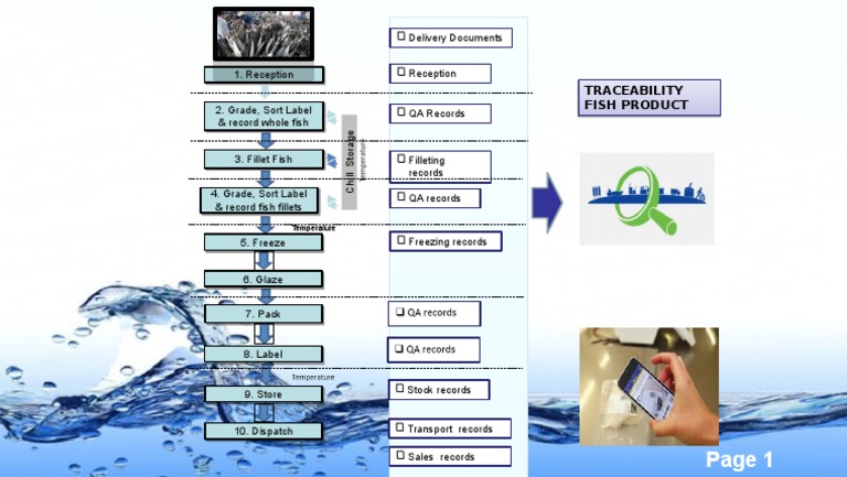 Fish Processing & Traceability Guide | PDF