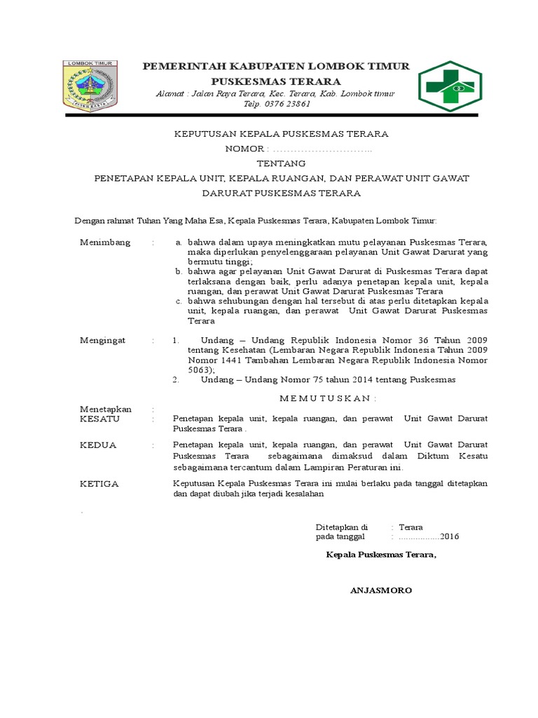 SK Tim IGD | PDF | Kesehatan Holistik