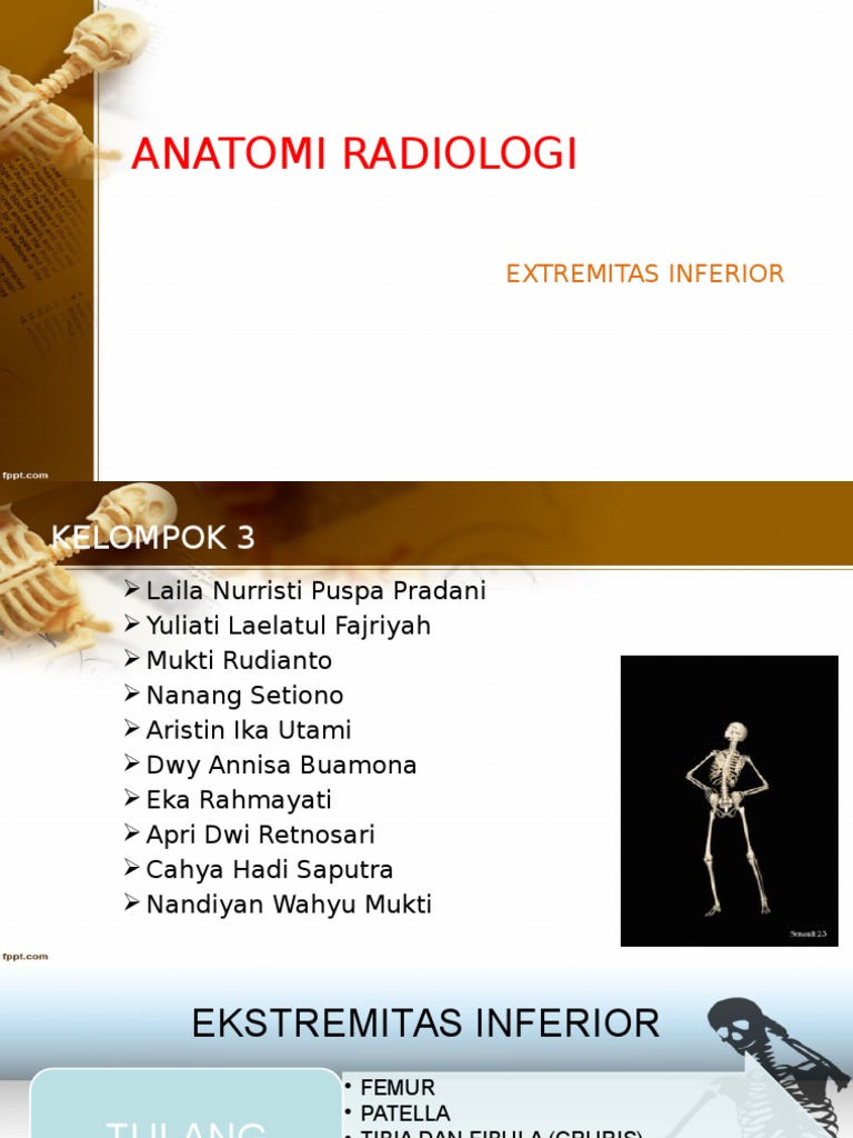 Anatomi Radiologi 2 | PDF