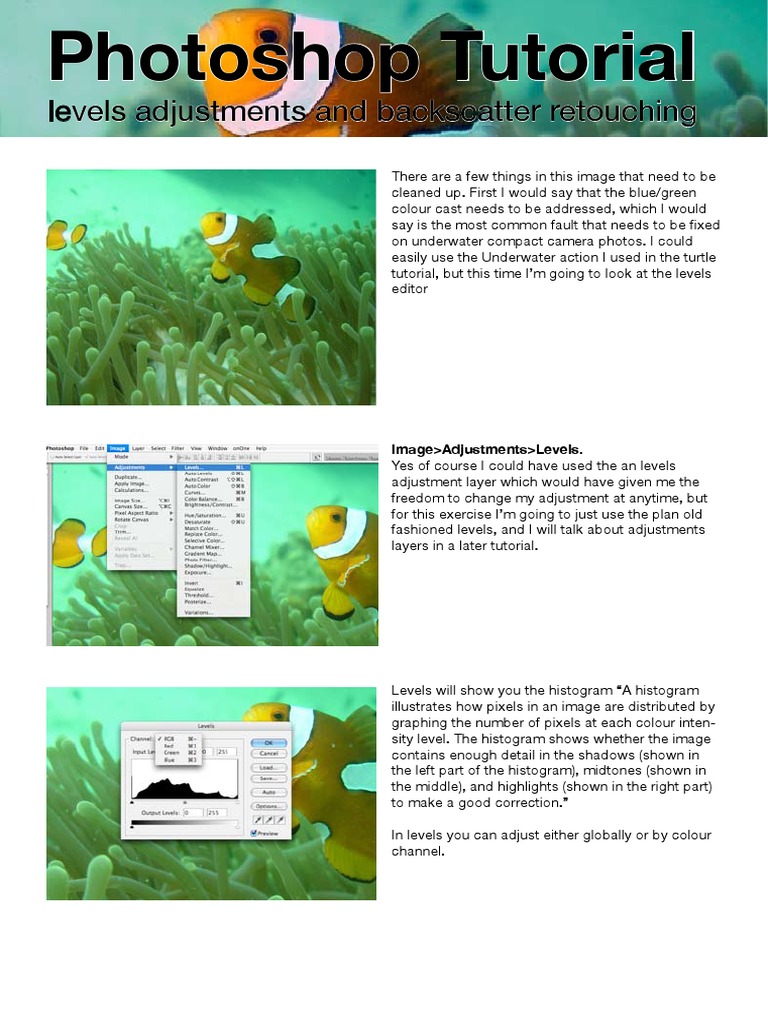 Nemo | PDF | Adobe Photoshop | Vision