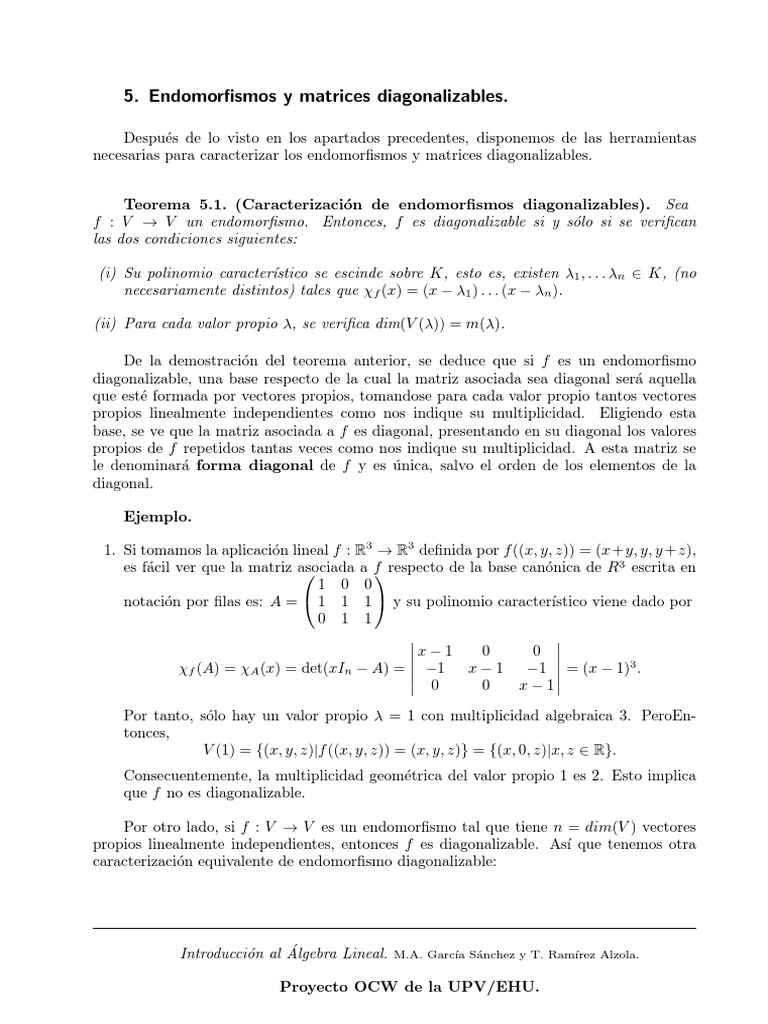 Endomorfismos y Matrices Diagonalizables | PDF | Valores propios y vectores propios | Matriz ...