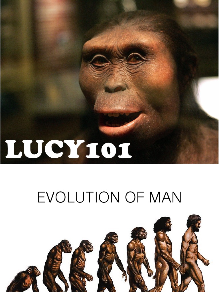 LUCY Presentation | Download Free PDF | Lucy (Australopithecus ...