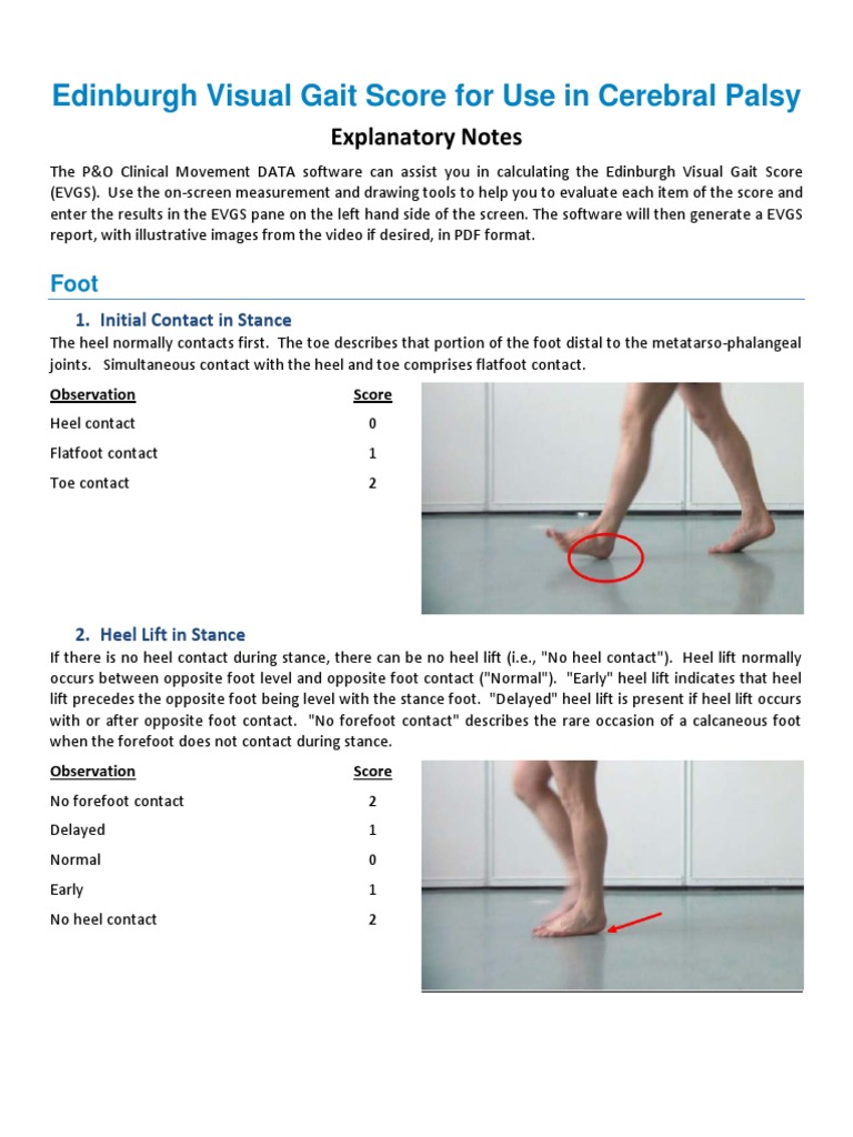 Using The Edinburgh Gait Score PDF | PDF | Foot | Anatomical Terms Of ...