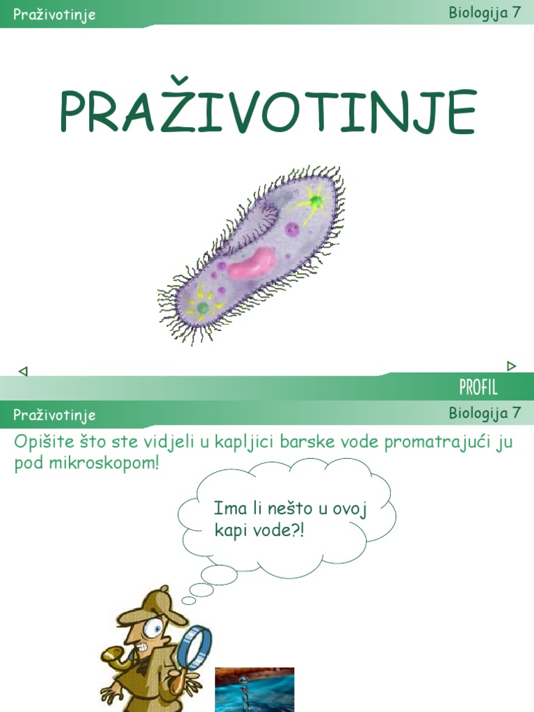 09 Prazivotinje | PDF