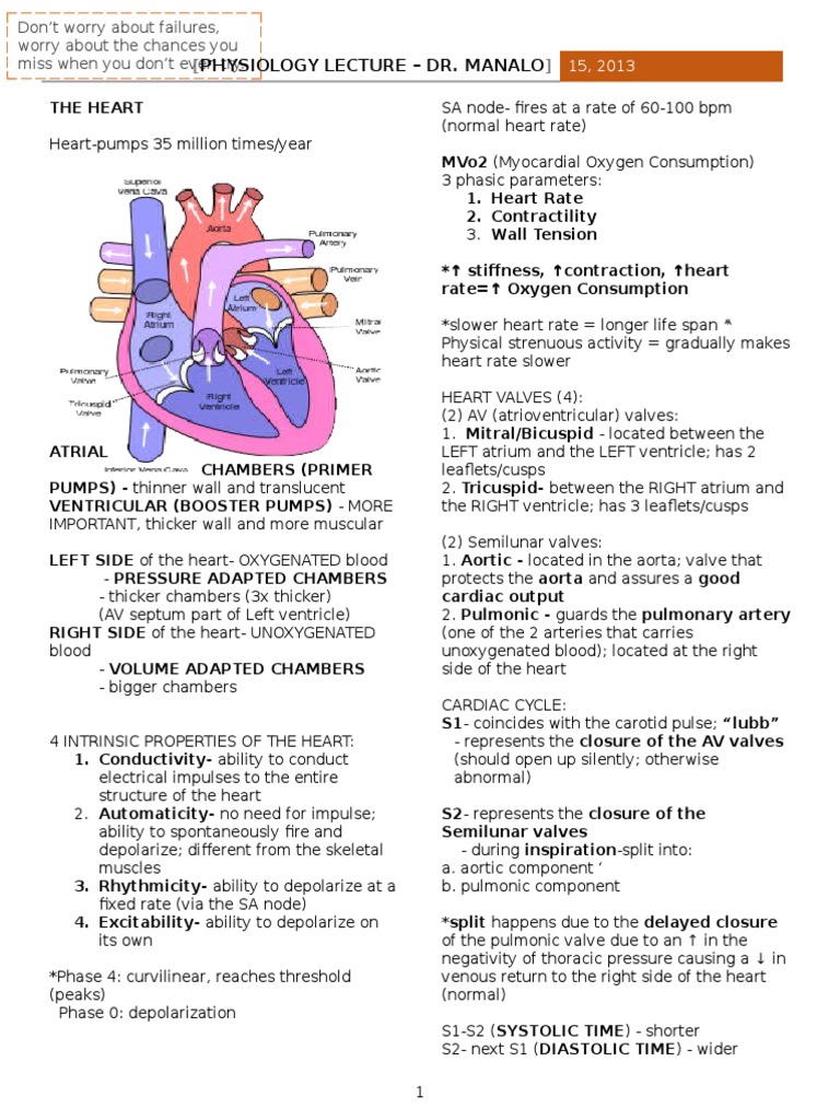 Physiology Lecture - Dr. Manalo | PDF | Heart Valve | Heart