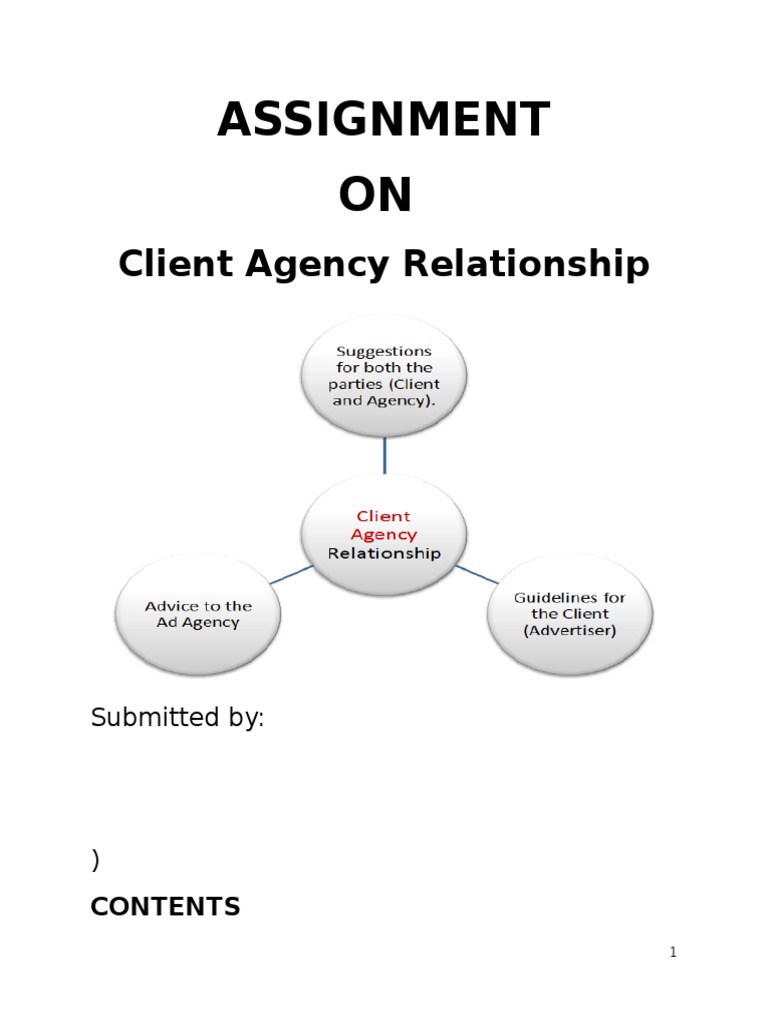 Client Agency Relationship Overview | PDF | Copywriting | Advertising