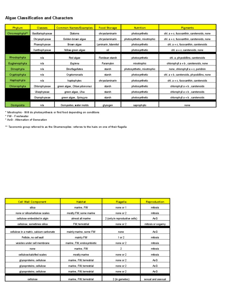 Algae Types and Characteristics Guide | PDF