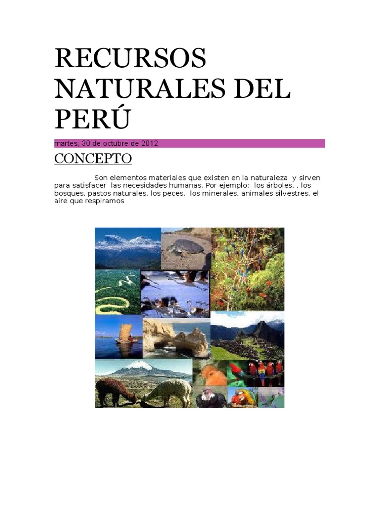 Recursos Naturales Del Perú | PDF