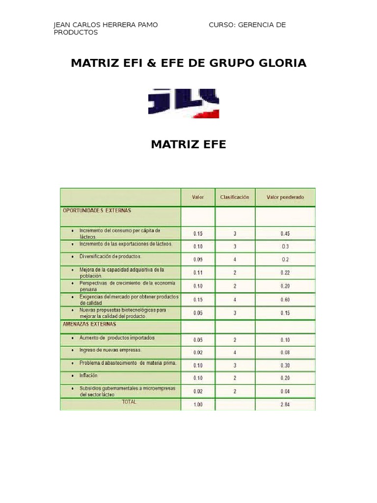 Matriz Efi | PDF