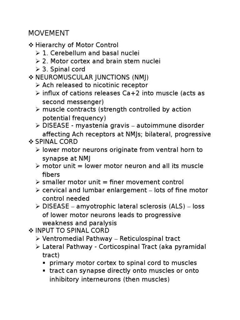 Nsci Exam 3 Study Sheet | PDF | Visual System | Visual Cortex