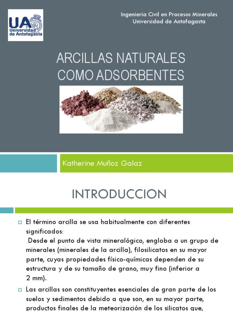 Arcillas como adsorbentes de amoníaco | PDF | Arcilla | Adsorción