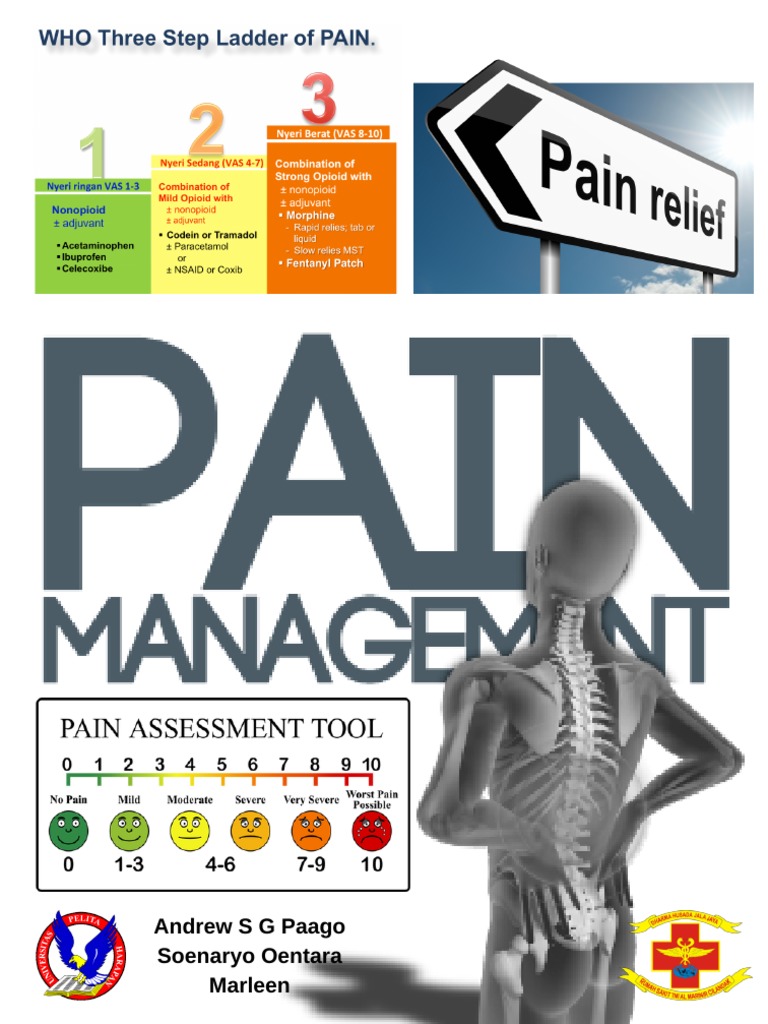 Poster Pain Management | PDF