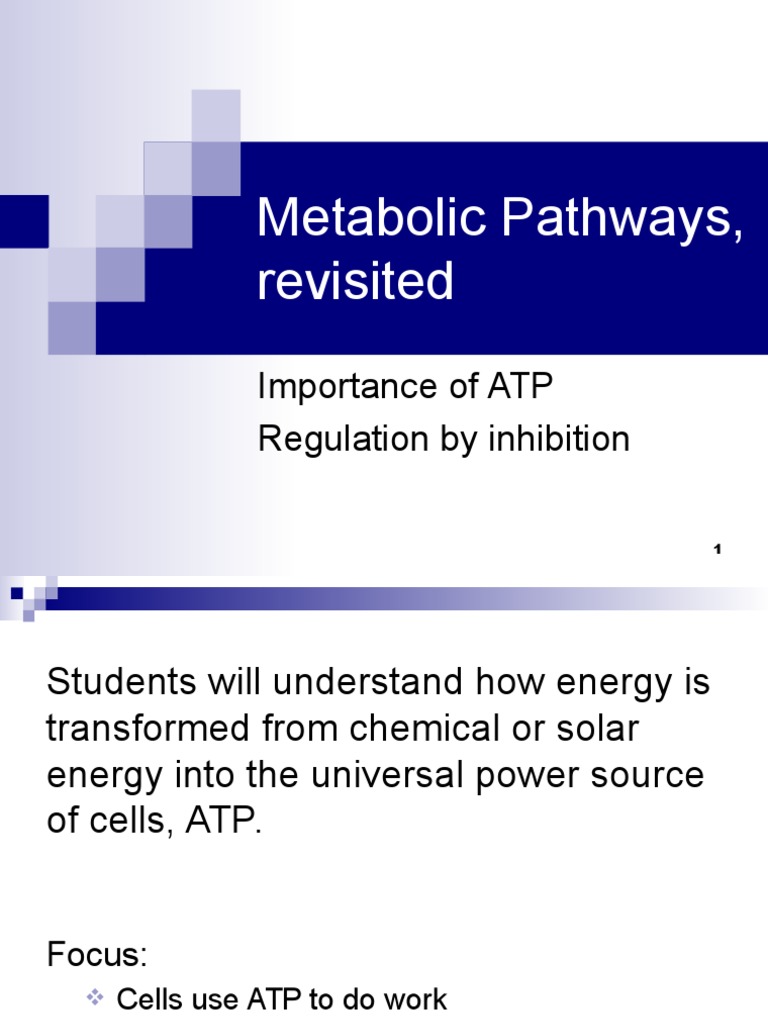 ATP and Metabolic Pathway Regulation | PDF | Metabolic Pathway ...