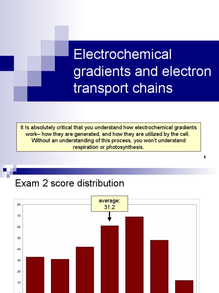 Lecture 21 - Electrochemical Gradients and Electron Transport | PDF ...