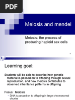 Random Fertilisation and Genetic Variation | PDF | Meiosis | Biological ...