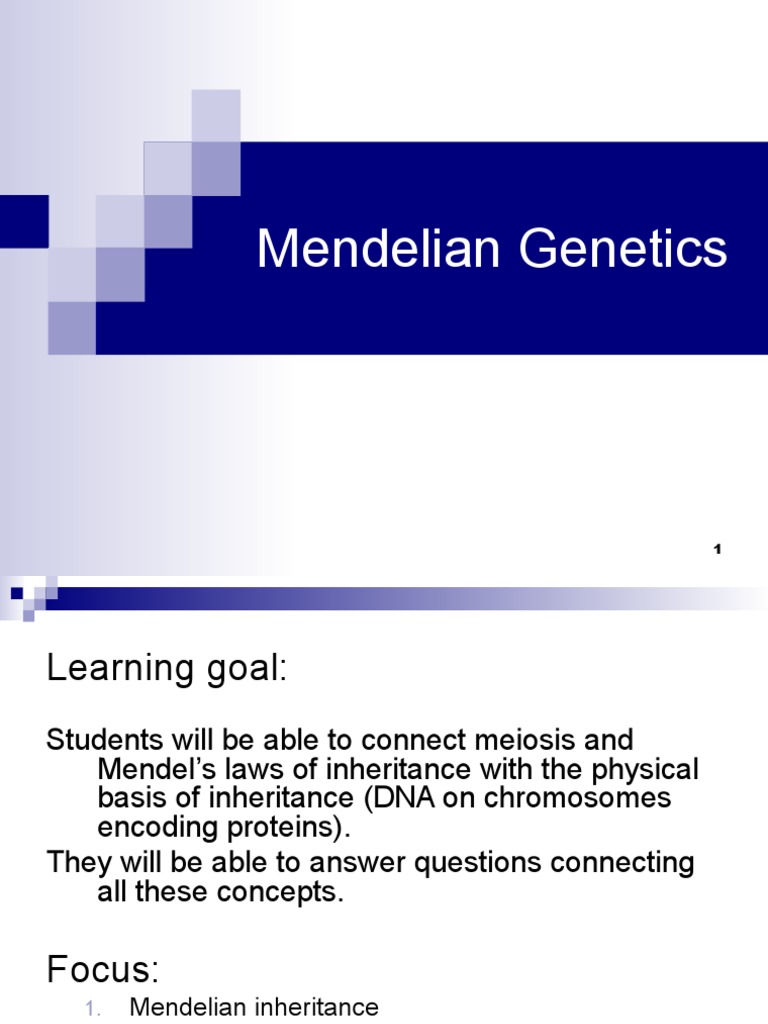 Lecture 28 Mendel 2 | PDF | Dominance (Genetics) | Meiosis