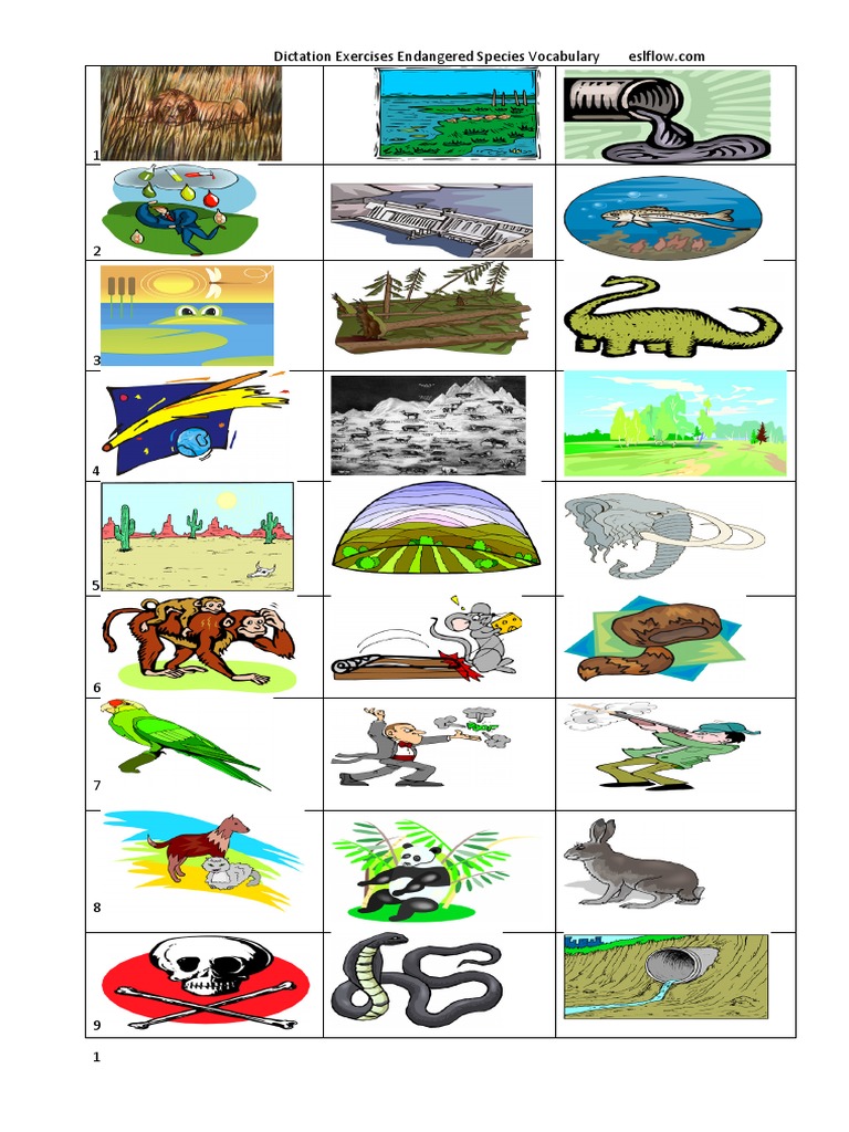Endangered_Species_Vocabulary___Dictation_Exercises.pdf | Wildlife ...
