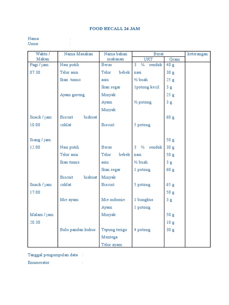 Food Recall 24 Jam | PDF