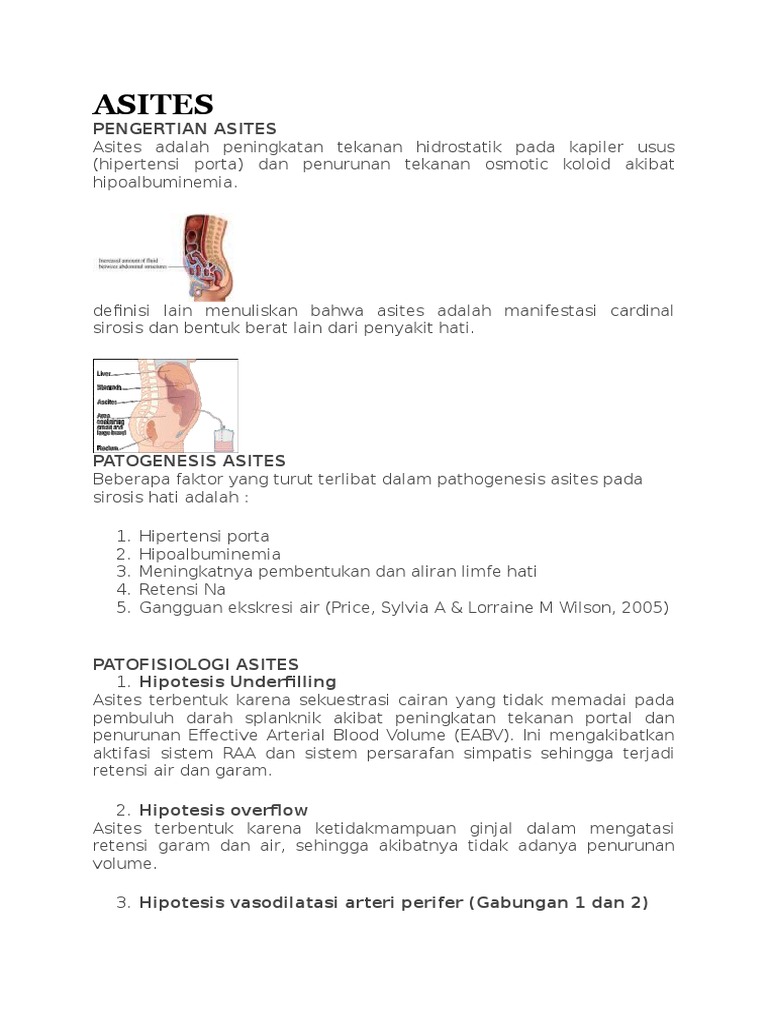 Materi Asites | PDF