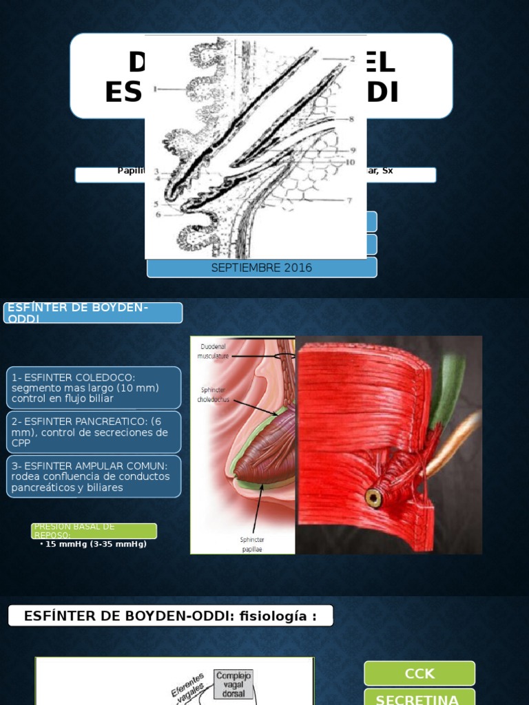 Disfuncion Del Esfinter de Oddi | Dolor | Sistema digestivo
