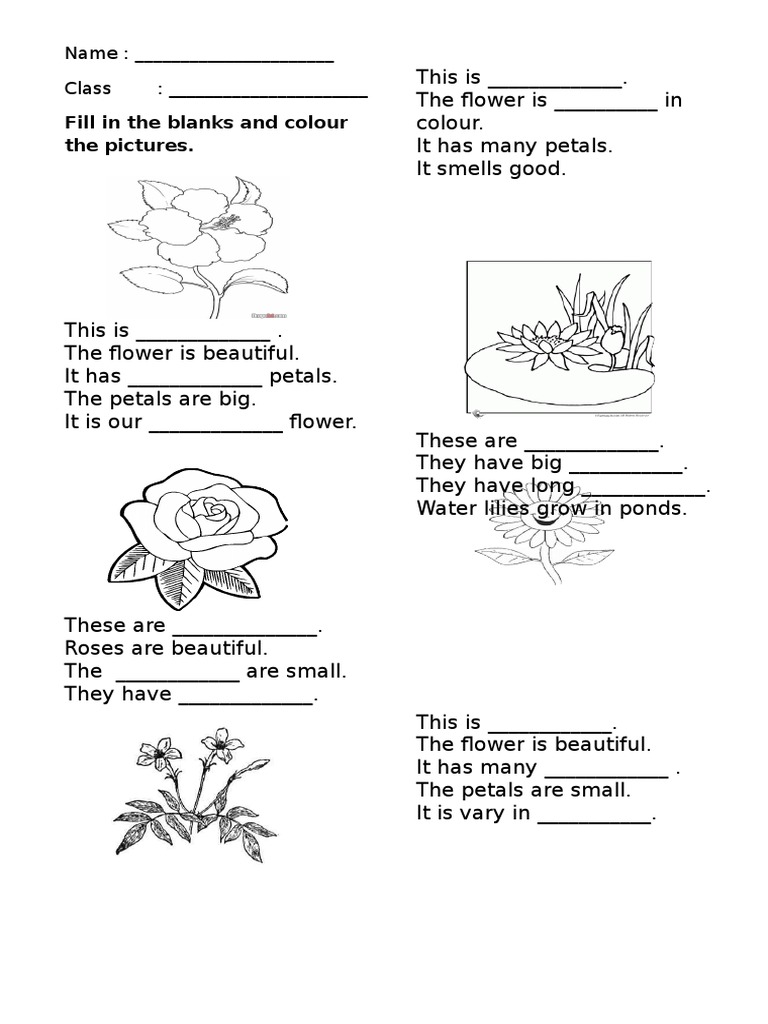 Fill in The Blanks and Colour The Pictures.: Name: - Class | PDF ...