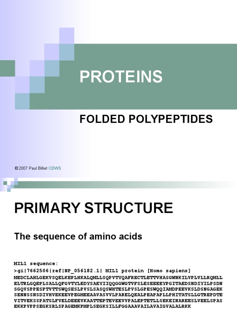 Proteins: Folded Polypeptides | PDF | Protein Folding | Proteins