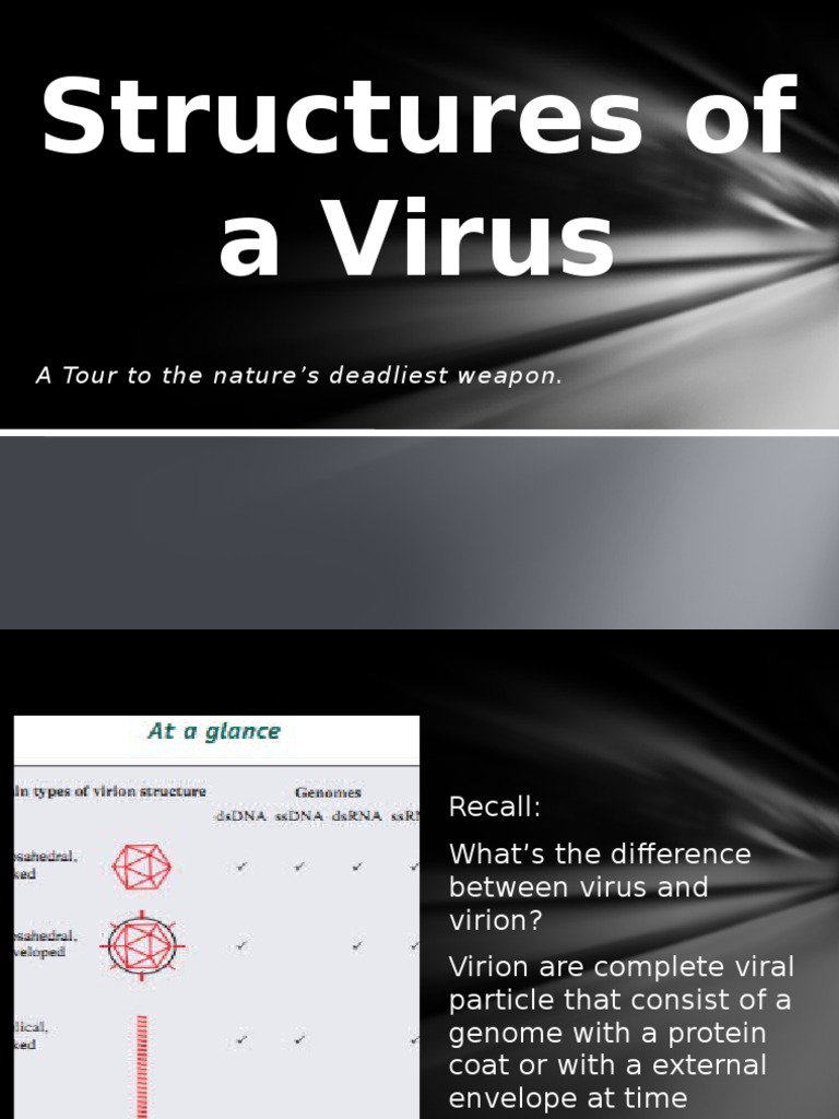 Virus Structure | PDF | Sense (Molecular Biology) | Virus