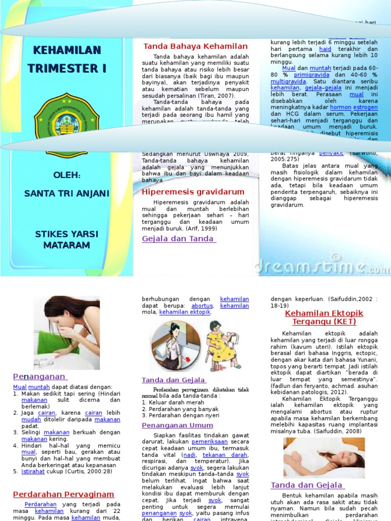 Leaflet Kehamilan TM 1 | PDF