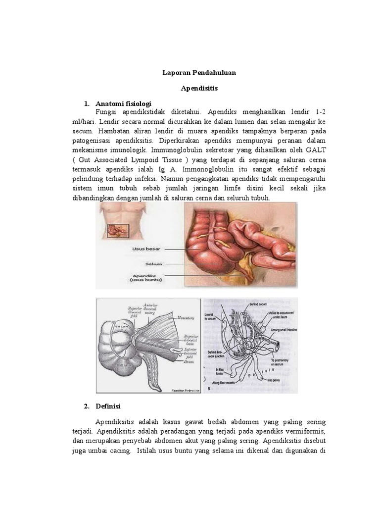 Laporan-Pendahuluan Apendik | PDF