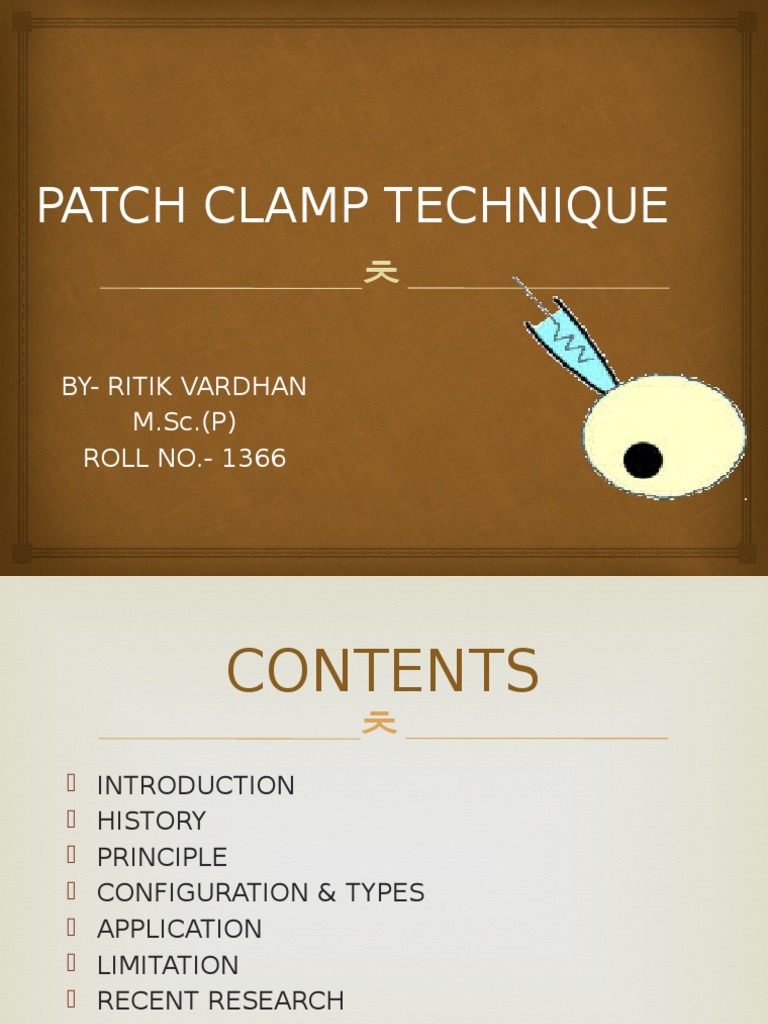 Overview of Patch Clamp Techniques | PDF | Ion Channel | Electrophysiology