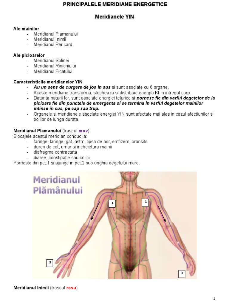 Meridianele Energetice | PDF