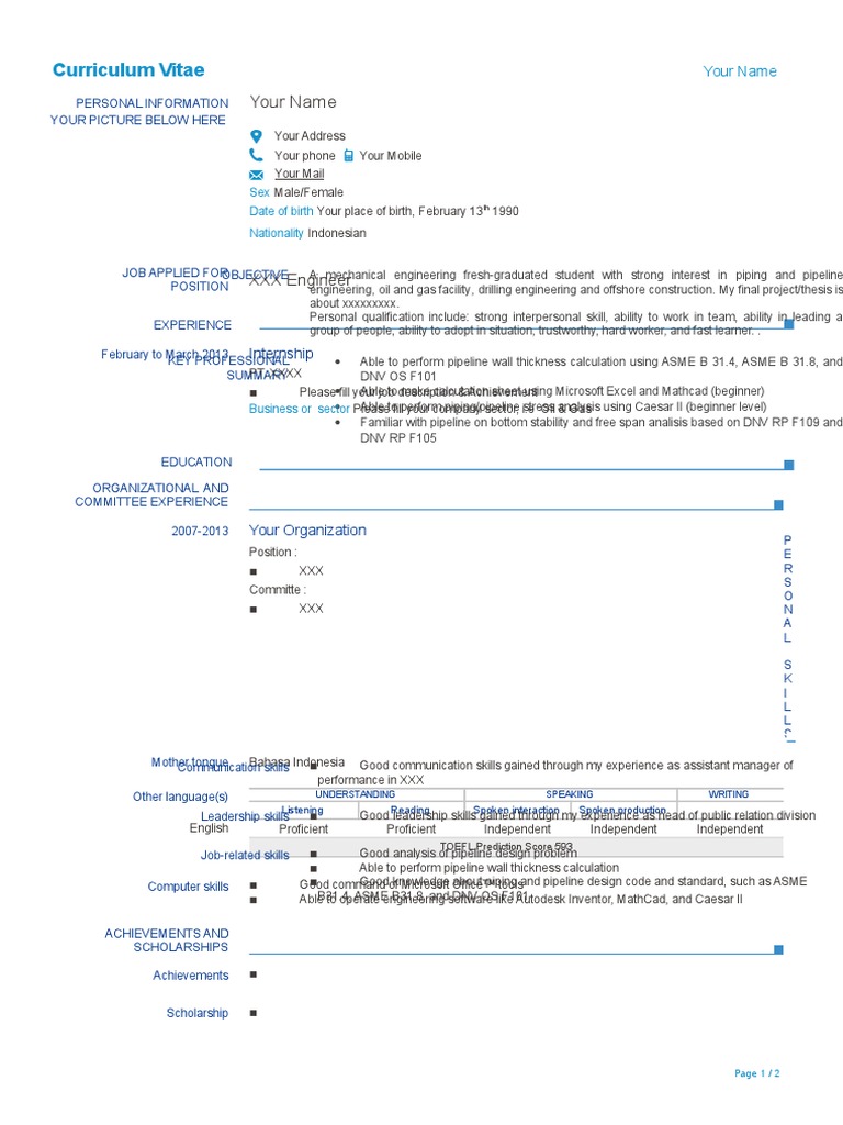 CV Sample Template | PDF