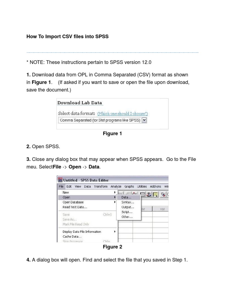 Import CSV to SPSS Guide | PDF