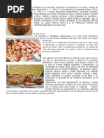 Definición de Hileras y Filas | PDF | Ciencias sociales | Historia