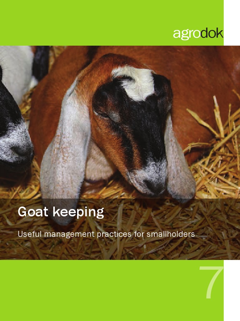 Goat Keeping | PDF | Goat | Legume